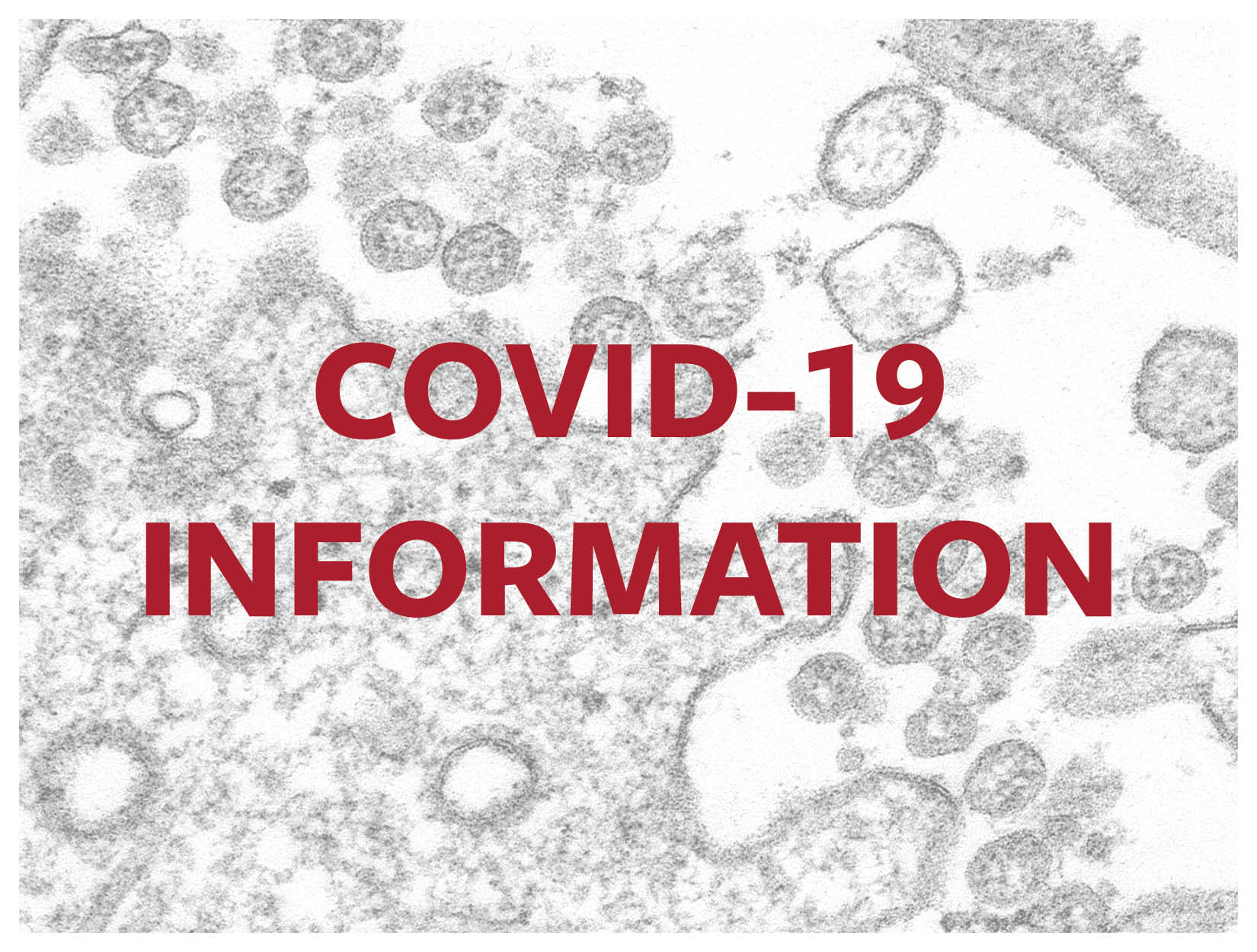 COVID-19 (coronavirus) information - Table Salt | NCU Blog