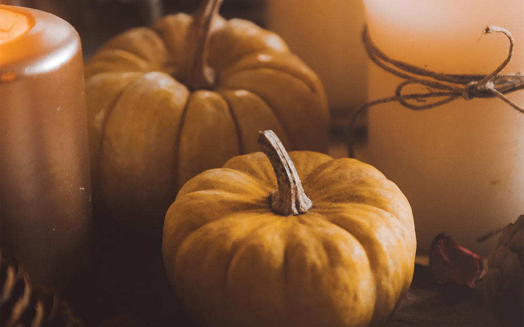 A Holistic Approach to Gratitude - Table Salt | NCU Blog